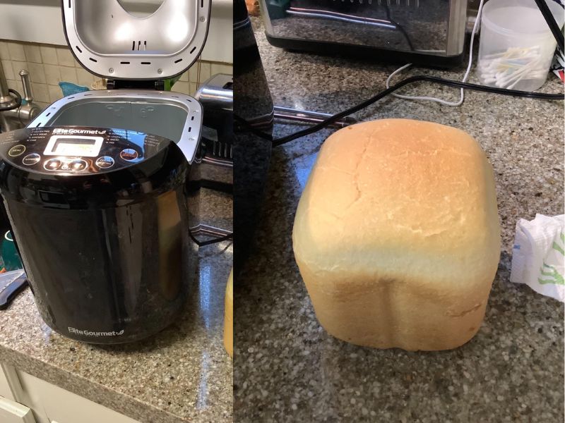 Elite Gourmet Bread Maker Review: EBM8103B vs EBM8103SS - A kitchen corner